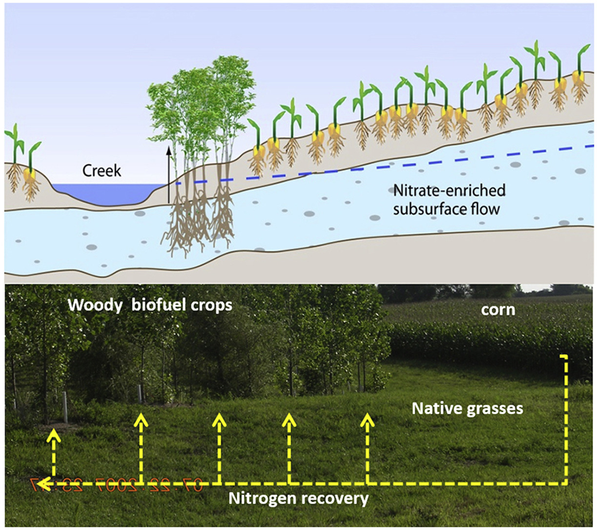 Regenerative agriculture applied to bioenergy